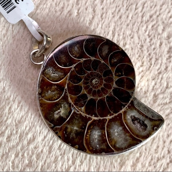 Jewelry | 925 Sterling Silver Large Ammonite Pendant | Poshmark